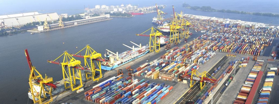 International Forest Products Association